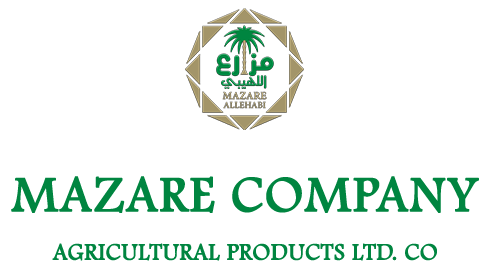 7 Delicious Ways to Enjoy Sukkari Dates Every Day | Mazare Company ...
